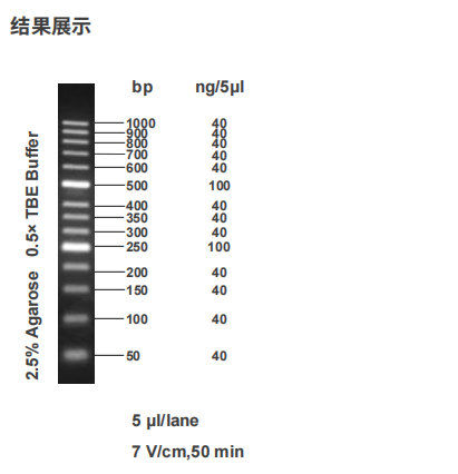 50bp DNA Ladder