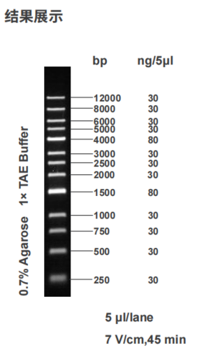 1kb DNA Ladder