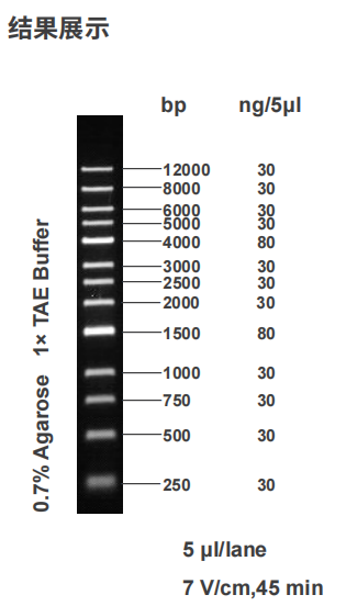 1kb DNA Ladder