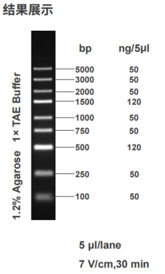 佰欧乐基（湖北）生物科技有限公司